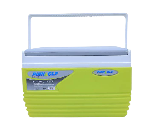 Buy Cooler Box Green 11L Online in Kenya | Best Price | 0745324353